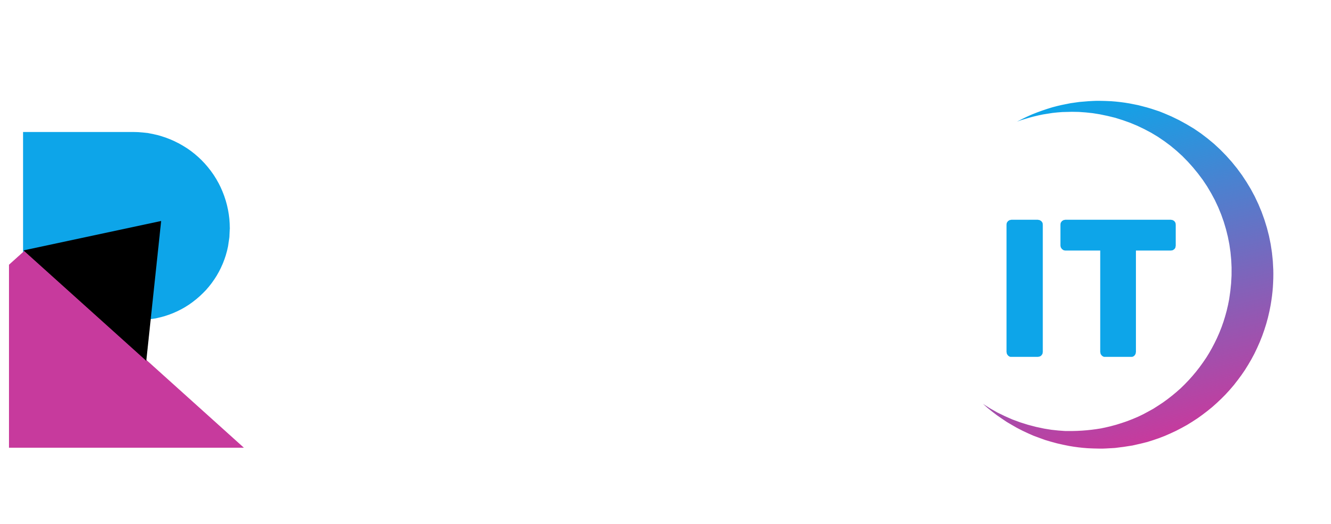 Robust IT Data Webinars: Insights from Industry Experts